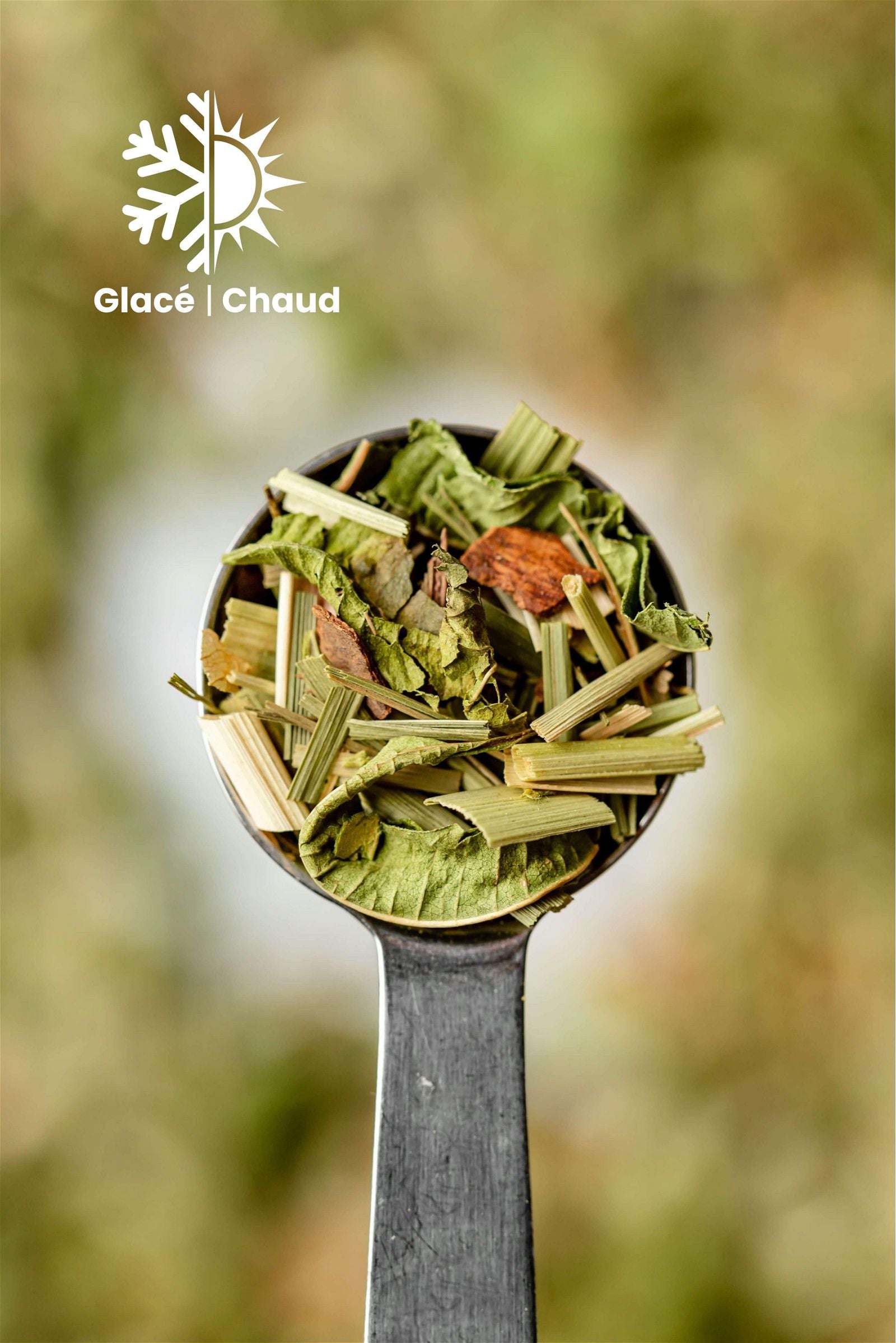 Tisane thym romarin en vrac - Infusion Bio – TeaHeritage